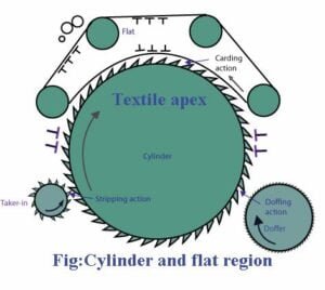 Functions of Different Regions of Card - Textile Apex
