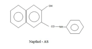 An Overview of Azo Dyes - Textile Apex