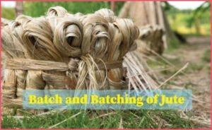 What is Batch and Batching of Jute - Textile Apex