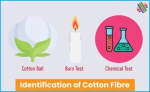 Identification of Cotton Fibre - Textile Apex