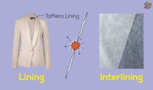 10 Key Difference between Lining and Interlining - Textile Apex