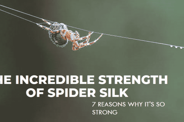 Fibre - Textile Apex